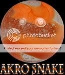 Akro Agate Company ID Guide - ALL ABOUT MARBLES