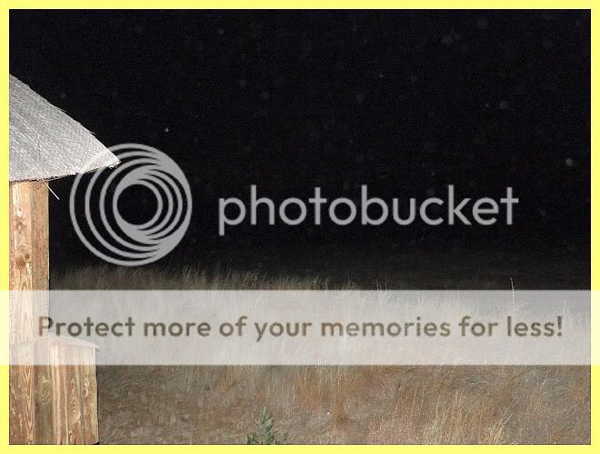 Kruger: Images and memories - Page 4 - Historical trip reports - Safaritalk